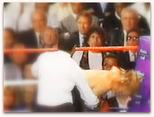 Bob Dylan's Boxing Addiction - NSF News