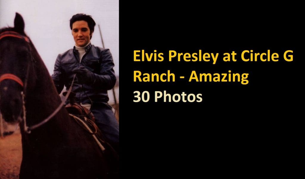 30 Elvis Presley Photos at Circle G Ranch - NSF News