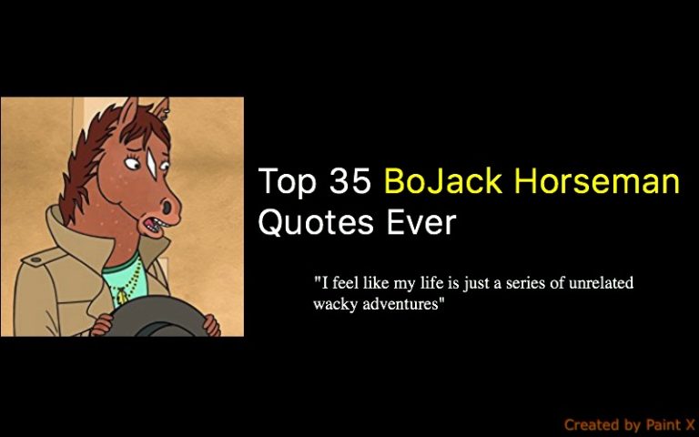 50 Fascinating BoJack Horseman Quotes - NSF News