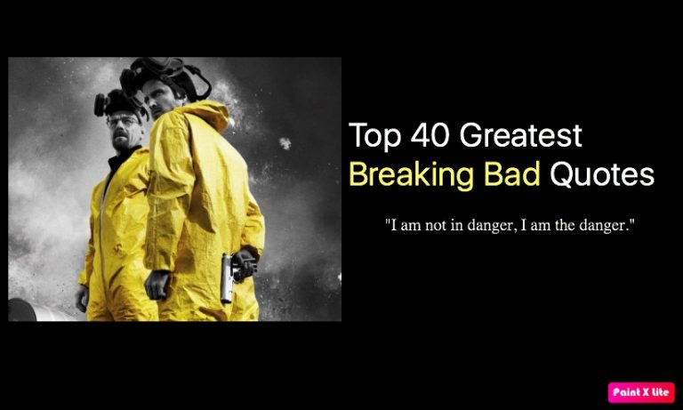 Best 40 Breaking Bad Quotes - Tv Series - NSF News
