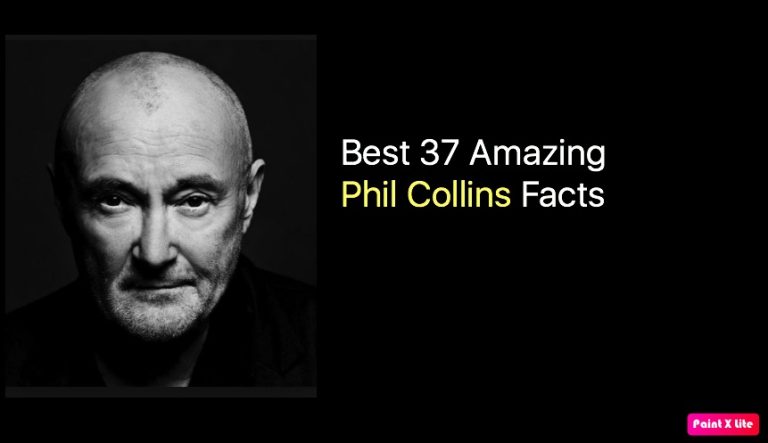 Best 46 Phil Collins Quotes - NSF News