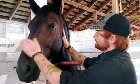 Ed Sheeran With Animals 30 Photos - NSF News