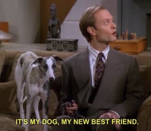 60 Memorable Frasier Tv Show Quotes - NSF News