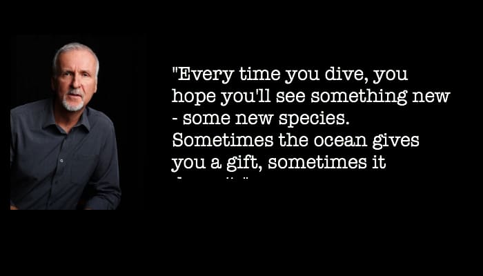 Insightful Wisdom: 96 Unforgettable James Cameron Quotes - NSF News