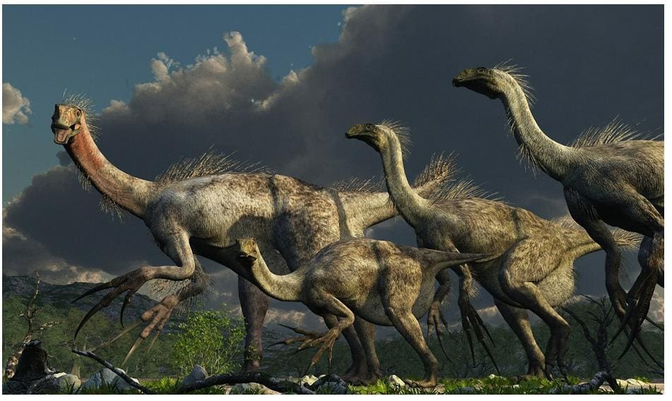 17 Surprising Facts You Should Know About Dinosaurs - NSF News