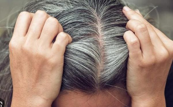 The Science Behind Hair Turning White: Understanding the Process - NSF News