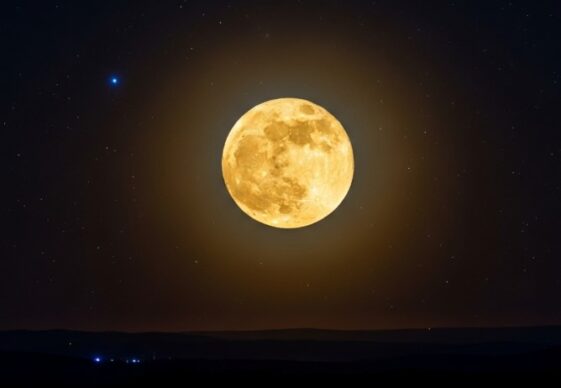 Full Moon facts Archives - NSF News