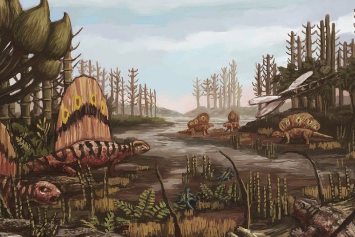 The Permian Period: Life, Extinction, and the Dawn of a New World - NSF News