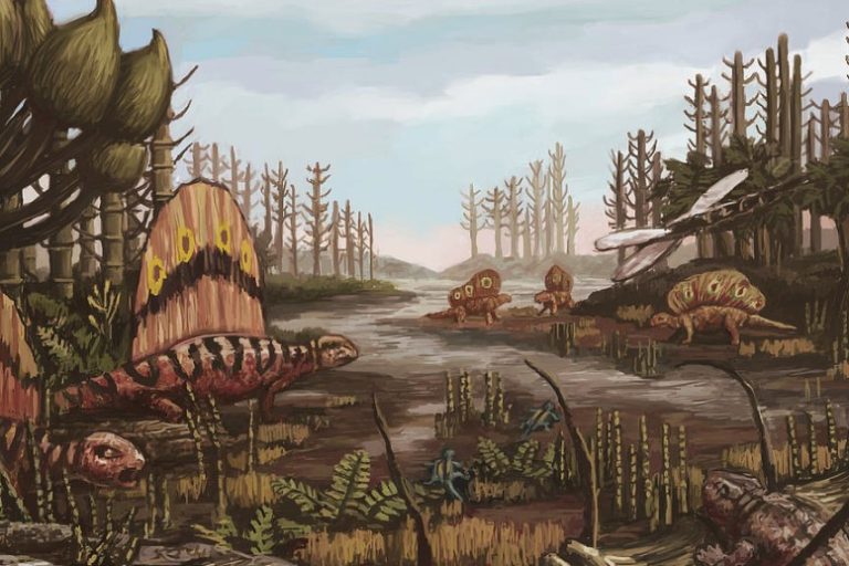 The Permian Period: Life, Extinction, and the Dawn of a New World - NSF News