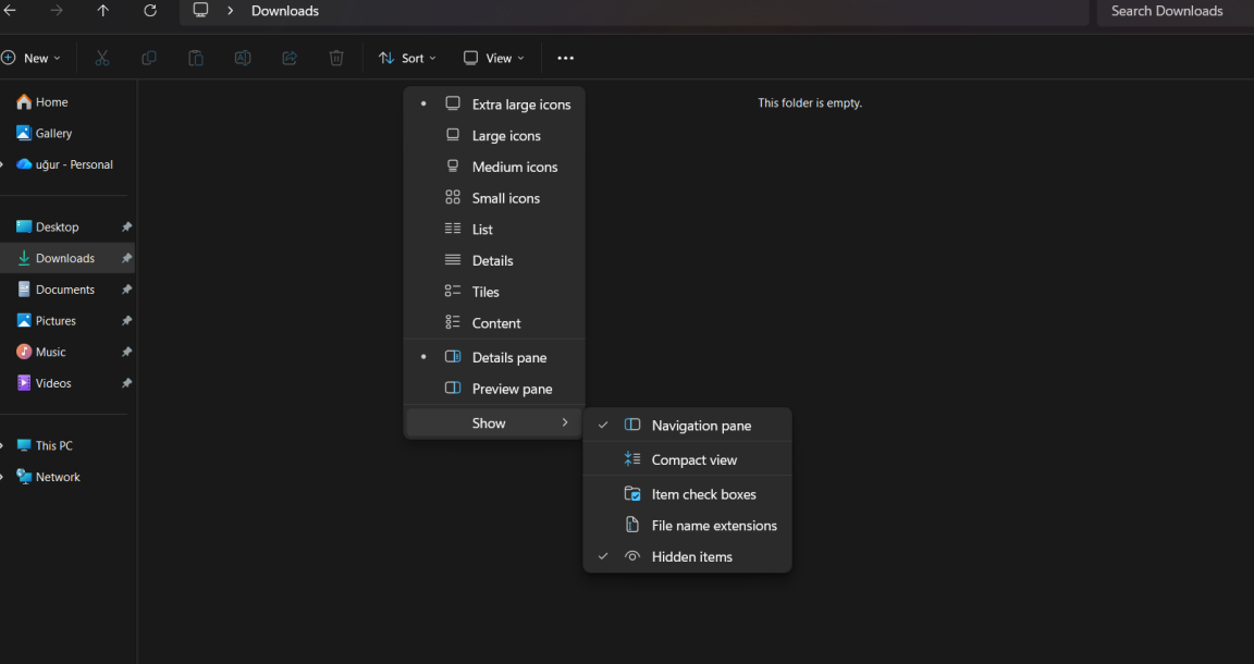 How to Show Hidden Files and Folders in Windows 11 (2 Easy Ways)